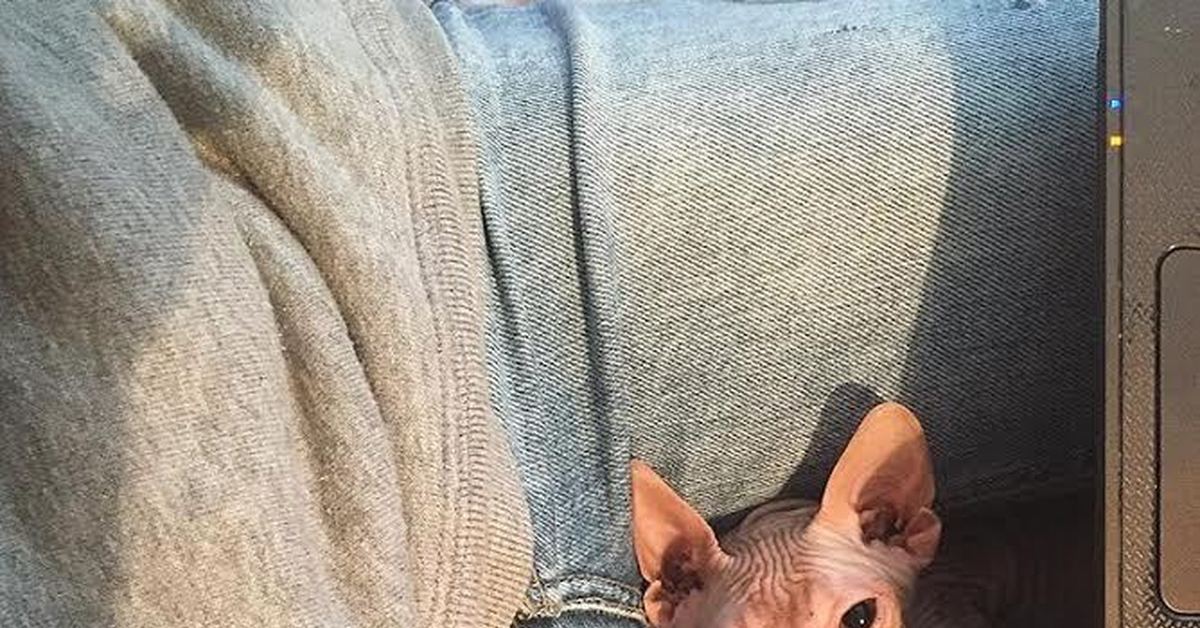 Предлагаем названия фотки !) | Пикабу