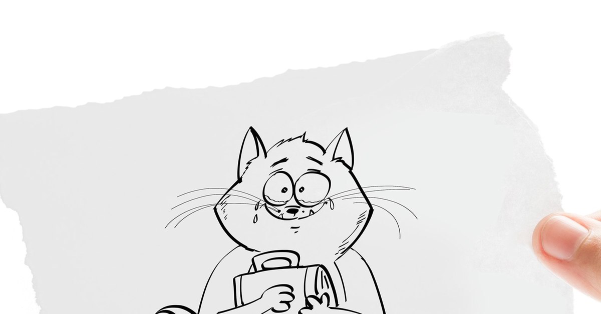 Идеальные выходные от Bird Born | Пикабу