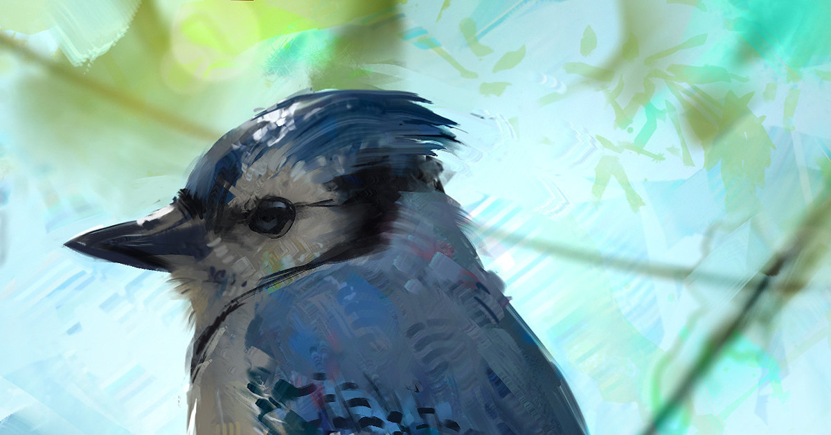 Little Blue Jay | Пикабу