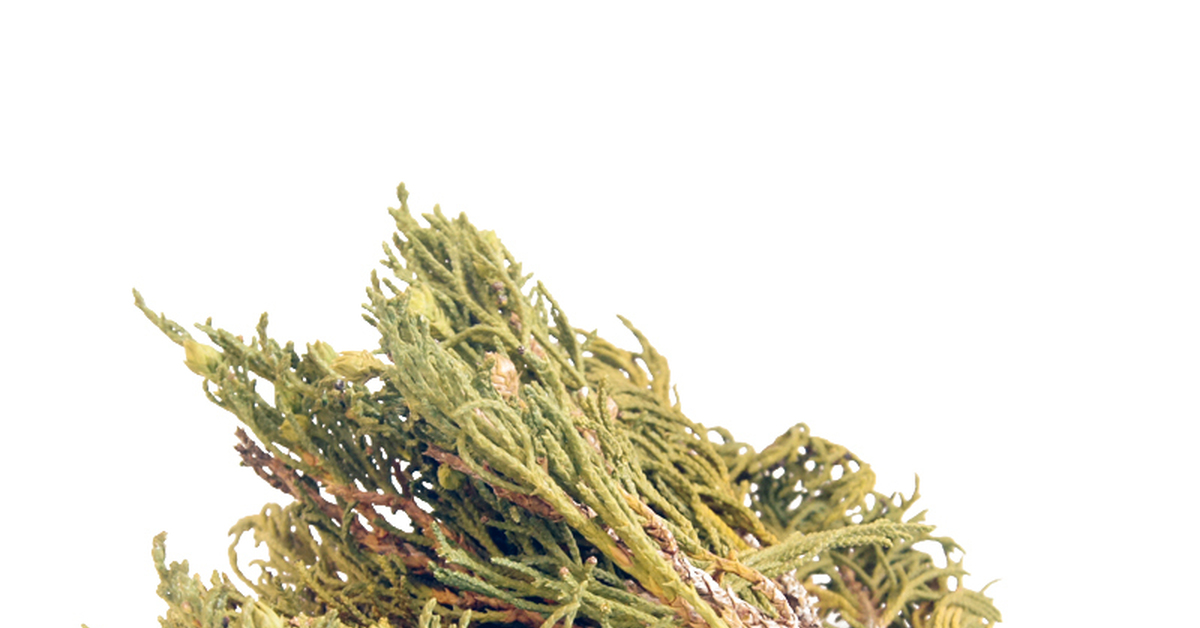 Шаманская трава или как я повышал продажи | Пикабу