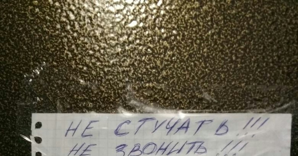 Не стучать!!! | Пикабу