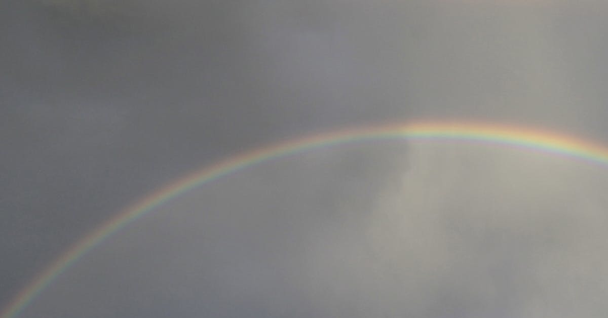 Rainbow - 11.09.19 19:44 | Пикабу