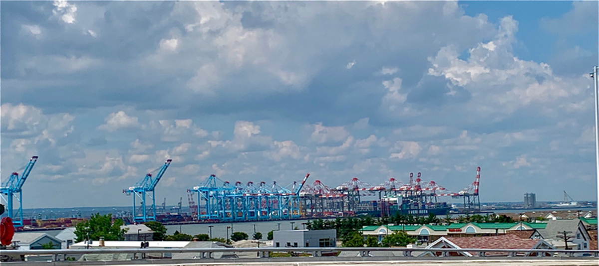 Портовая стая . В ожидании … 6.20.2020 Bergen Point, Bayonne,NJ | Пикабу