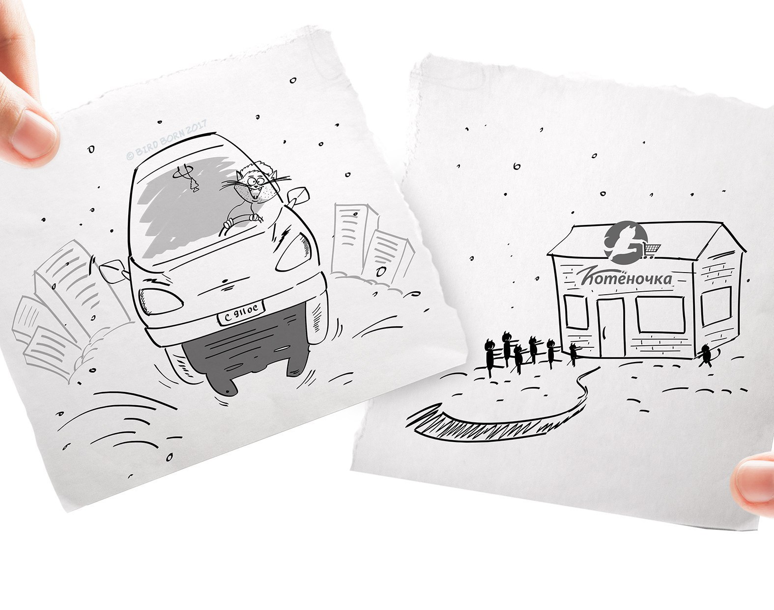 Идеальные выходные от Bird Born | Пикабу