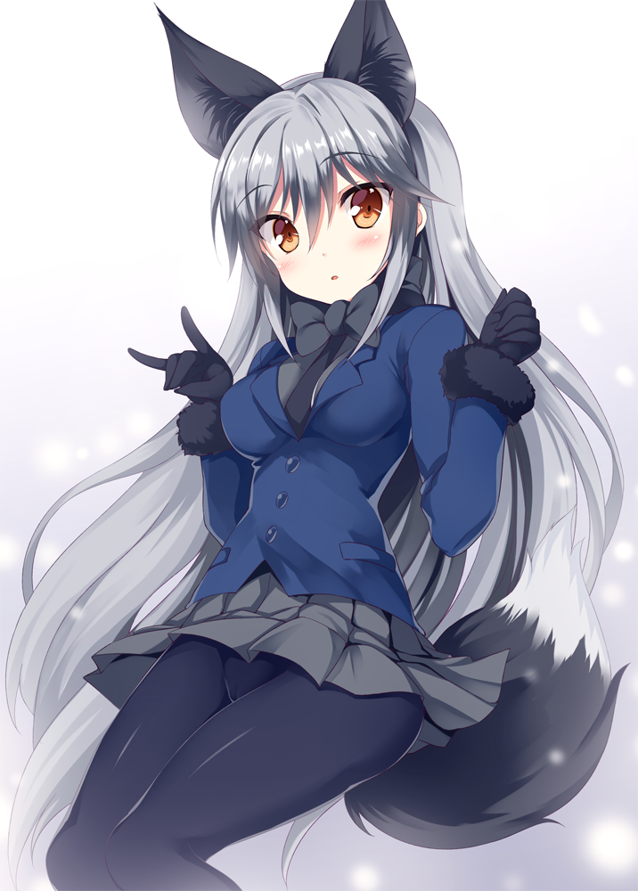 Kemono Friends \ Silver Fox. Anime Art. | Пикабу