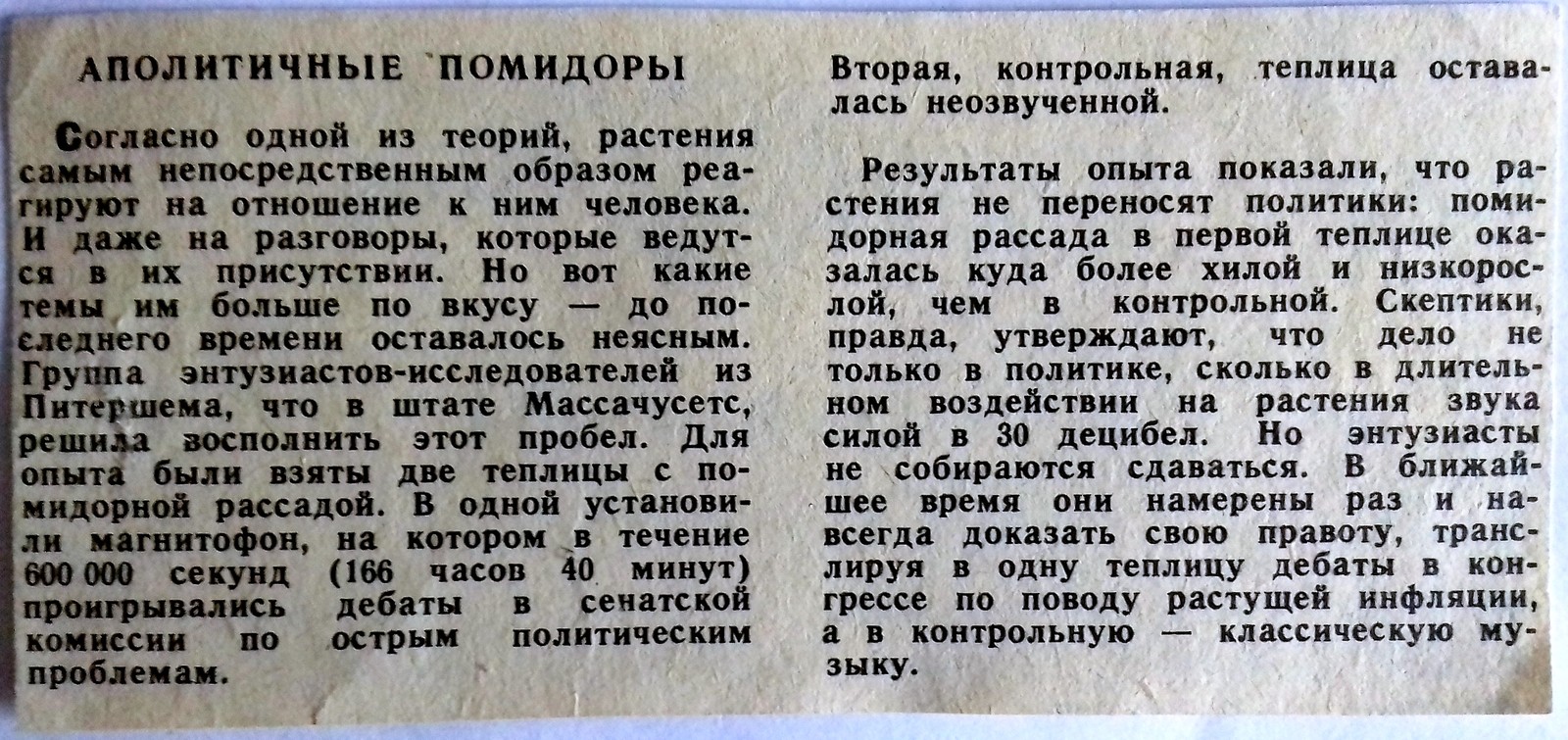 Аполитичные помидоры. | Пикабу