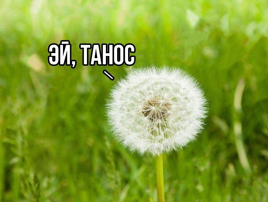 Спойлеры | Пикабу