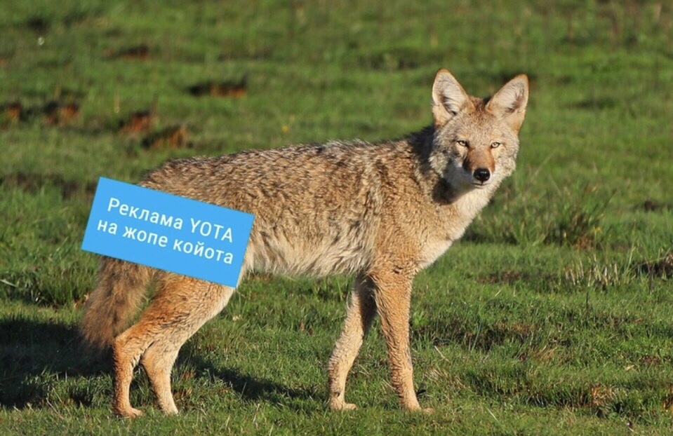 Йота | Пикабу