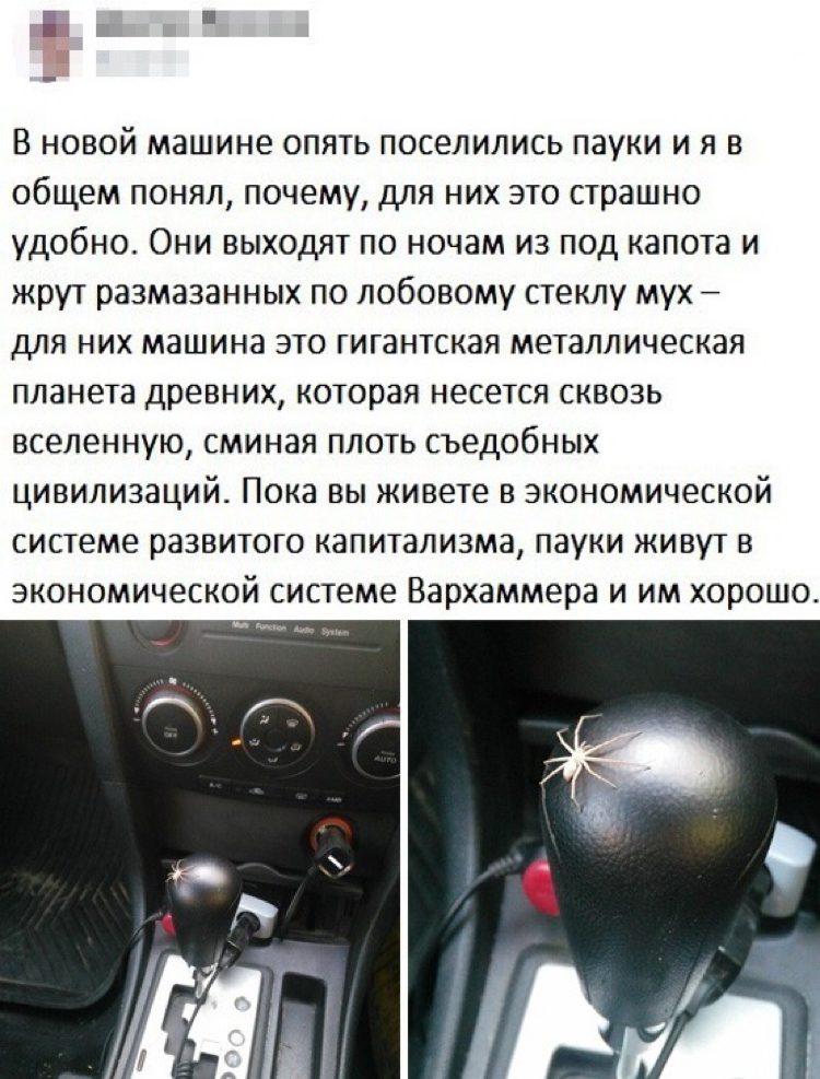 Планета пауков | Пикабу
