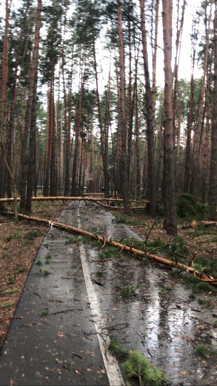 Весна... | Пикабу
