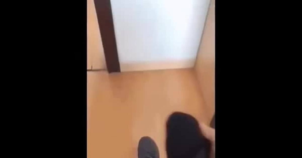 Лови гранату! Coub - 24.09.19 14:35 | Пикабу