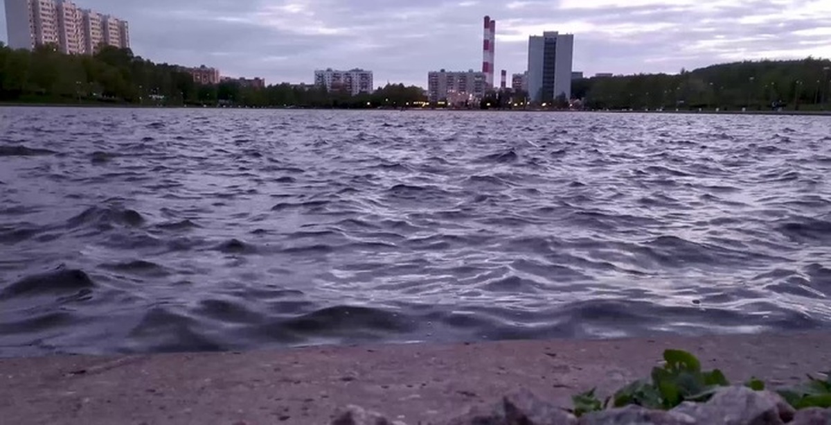 Живые обои на рабочий стол - 17.05.20 16:31 | Пикабу